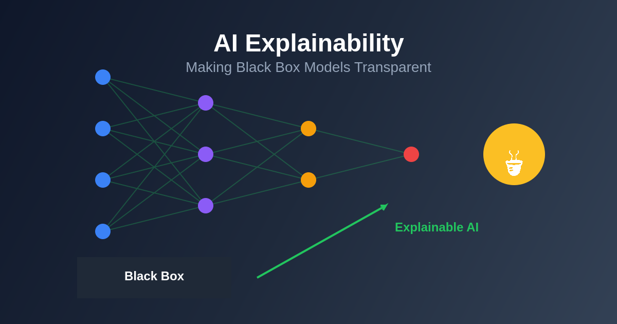 AI Explainability: Making Black Box Models Transparent